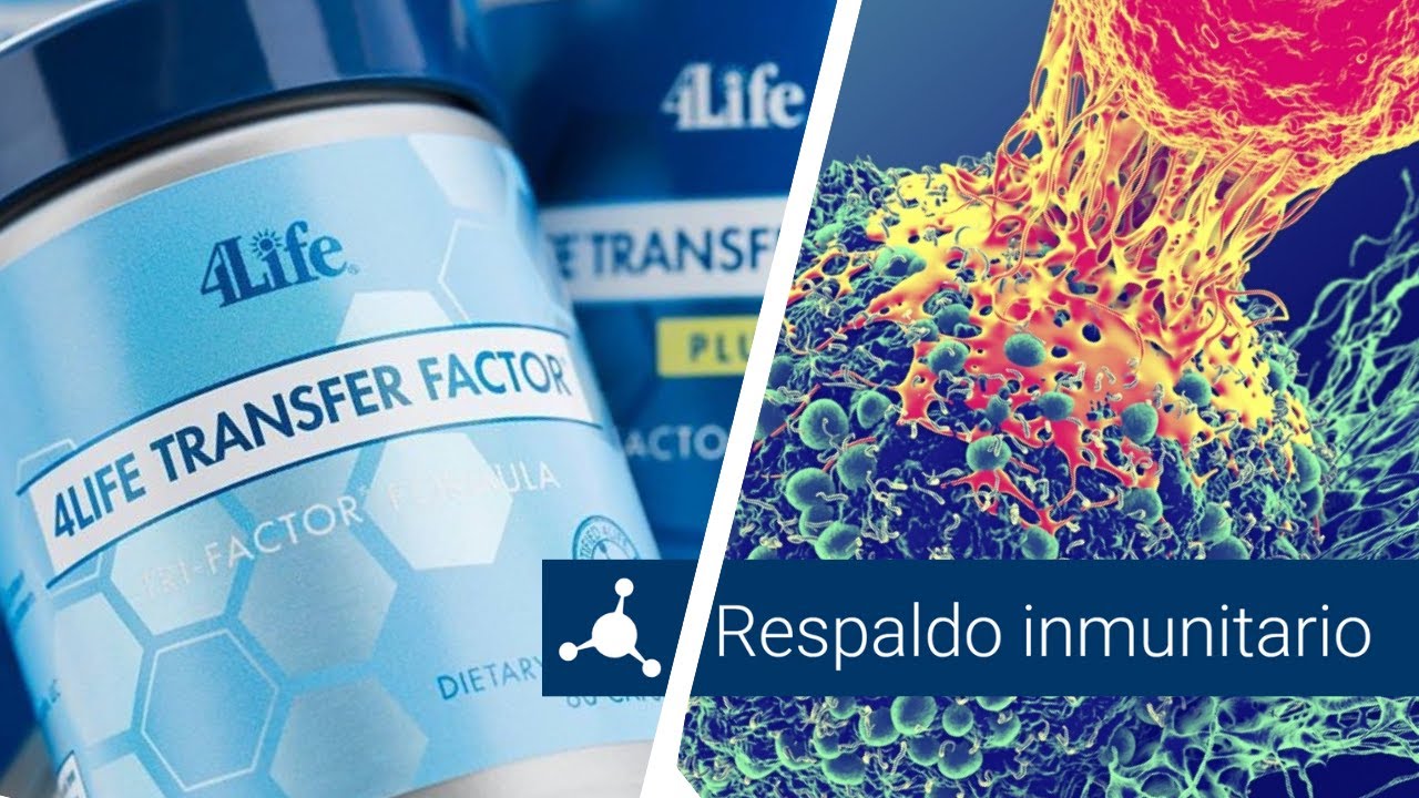 Para qué sirve 4Life Transfer Tri Factor? | Cómo se toma? - YouTube