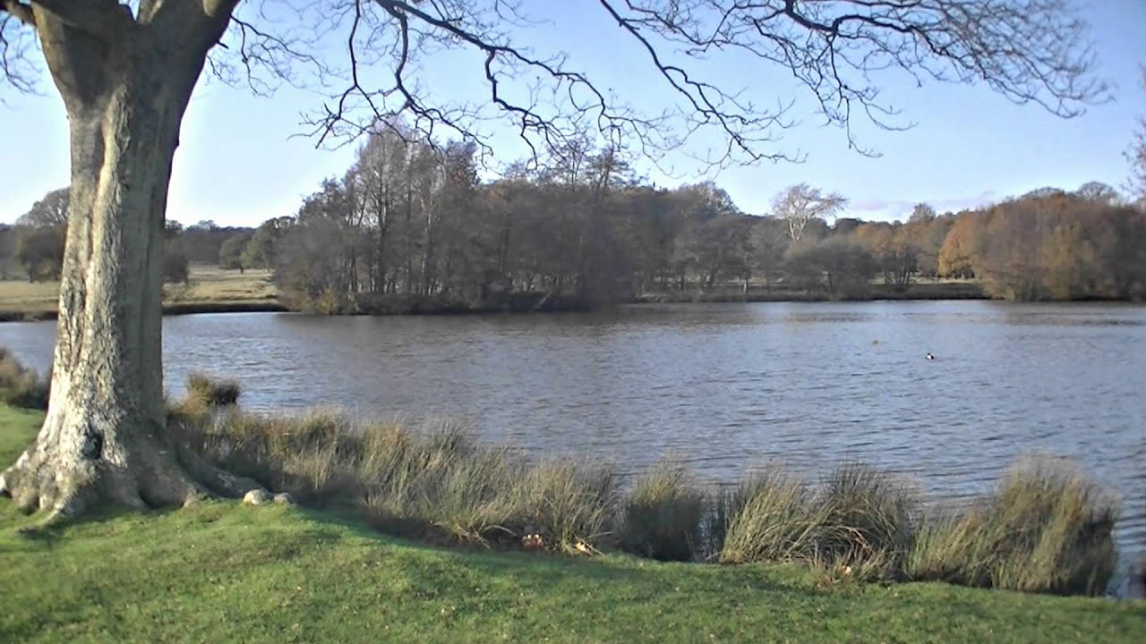 Art Of Landscape 1 Peaceful Relaxing Free Video Footage (HD) - YouTube