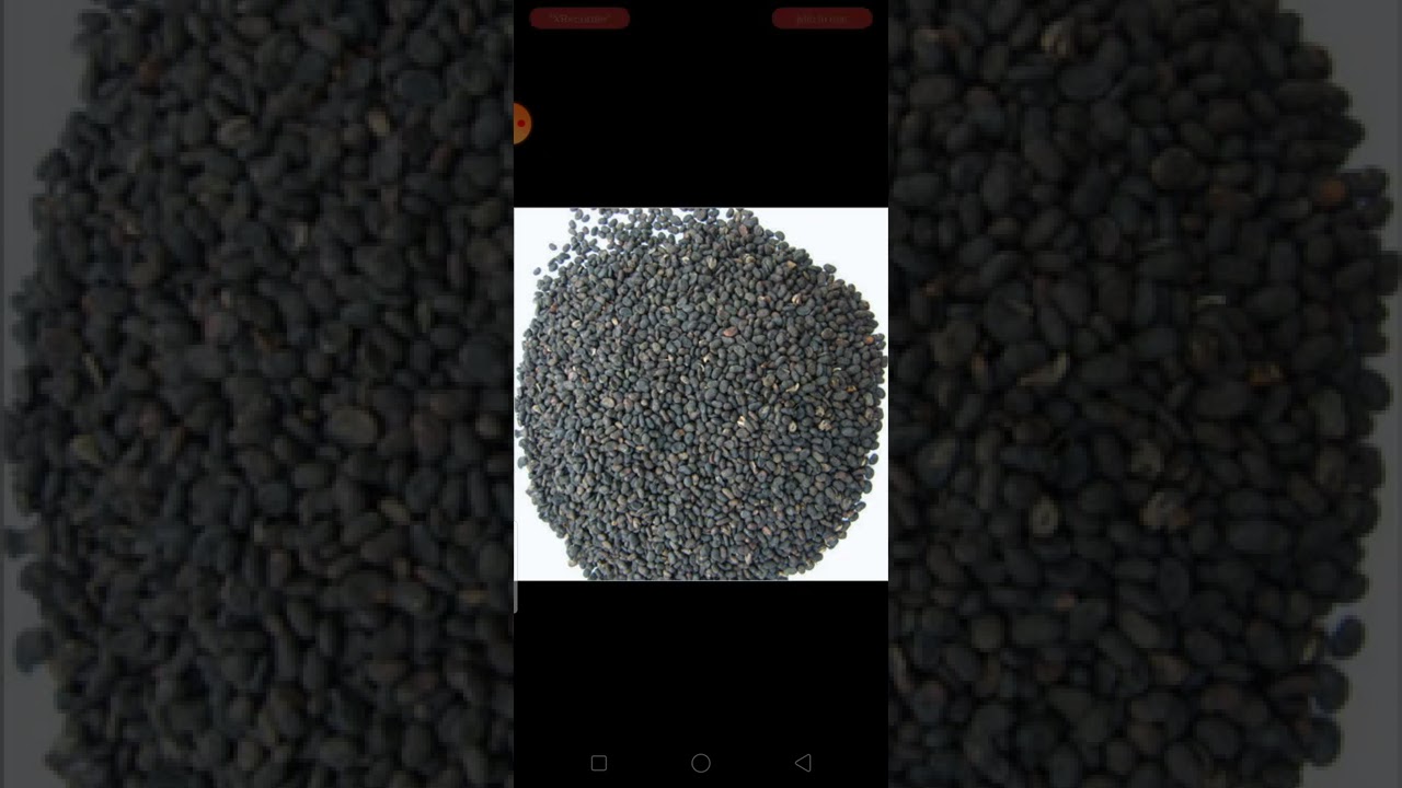 Bavachi Benefits in Ayurveda, herbs, used in ayurvedic medicine - YouTube