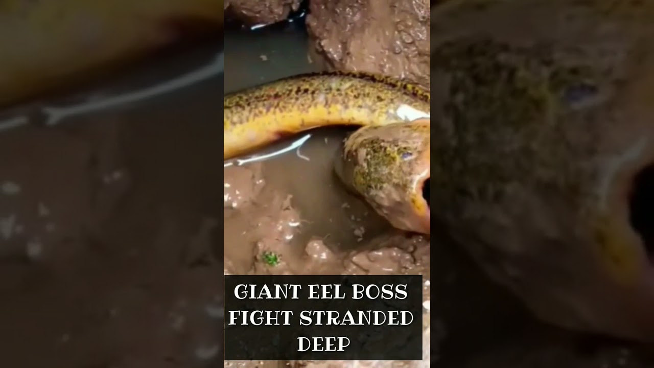 GIANT EEL BOSS FIGHT STRANDED DEEP #shorts - YouTube