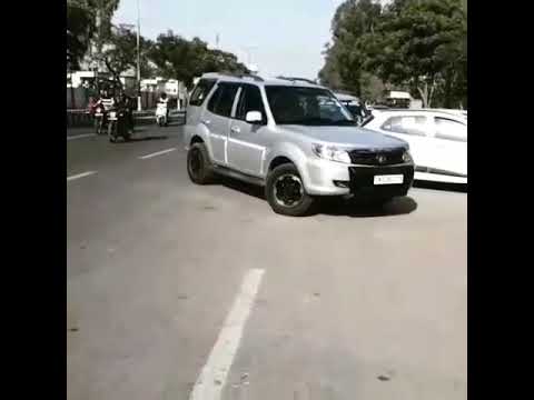 Modified safari strome - YouTube