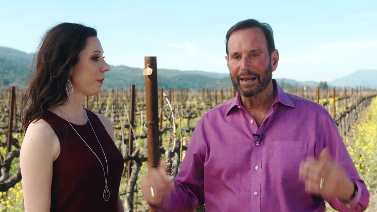 Andy Beckstoffer | Wine Access - YouTube