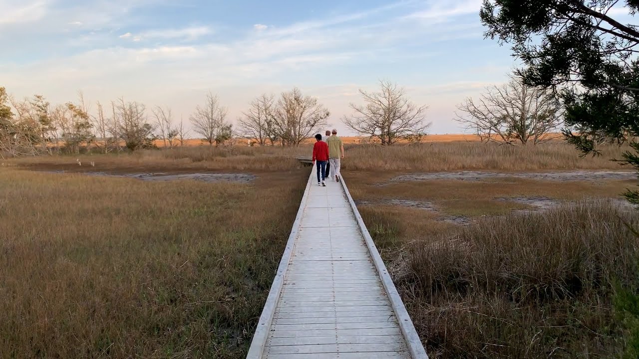 Baruch Marine Field Laboratory: Levi McKercher - YouTube