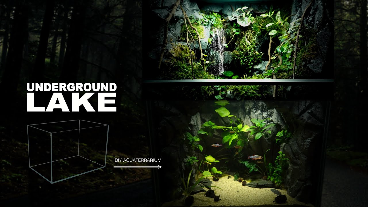Underground Lake Rainforest Aquaterrarium l How to Make Your Own Fish ...