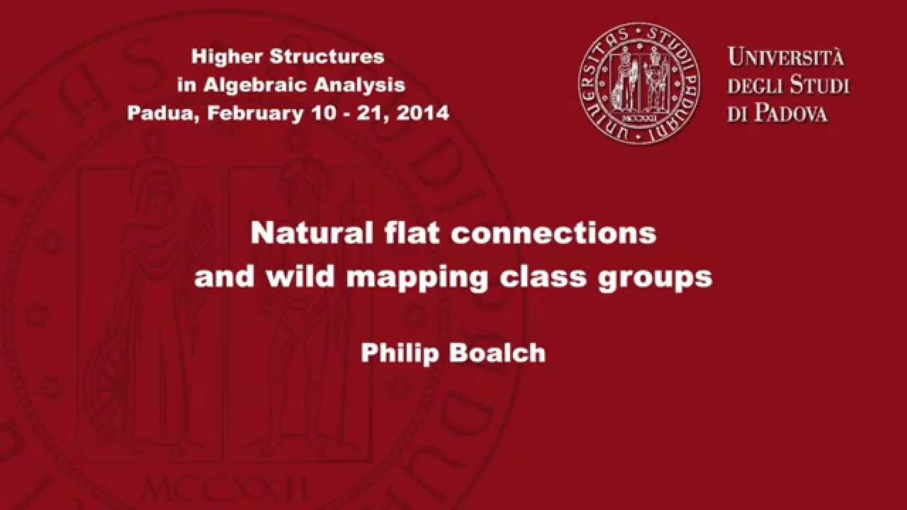 Philip Boalch - Natural flat connections and wild mapping class groups ...