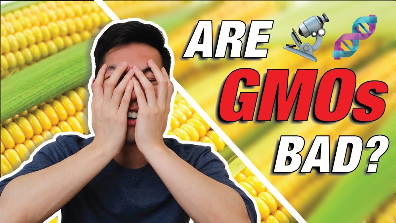 some history & science facts about GMOs - YouTube