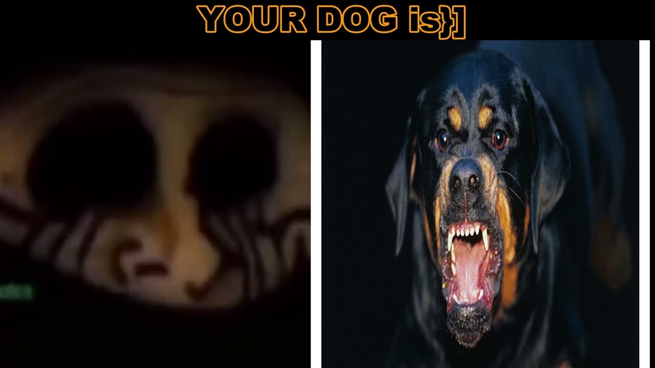 Mr incredible becoming uncanny (YOUR DOG) - YouTube
