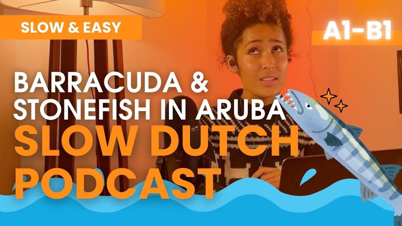 Ep. 24 SLOW DUTCH🇳🇱 BARRACUDA AND STONE FISH on Aruba 🇦🇼 - A2 Dutch ...