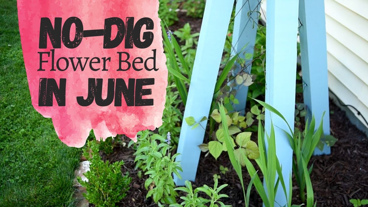 No Dig Flower Bed 🌿☀️ June Garden Tour - YouTube