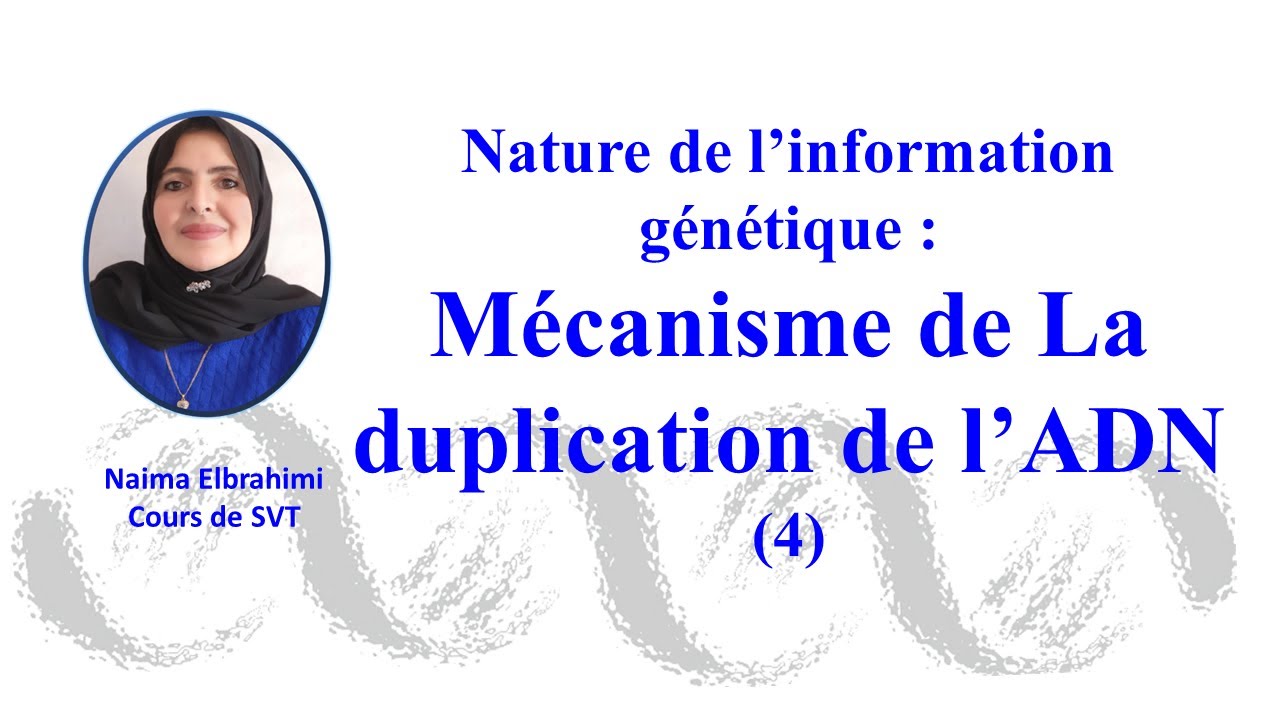 Cours SVT - 2Bac-(Biof)Nature de l’information génétique: Mécanisme de ...