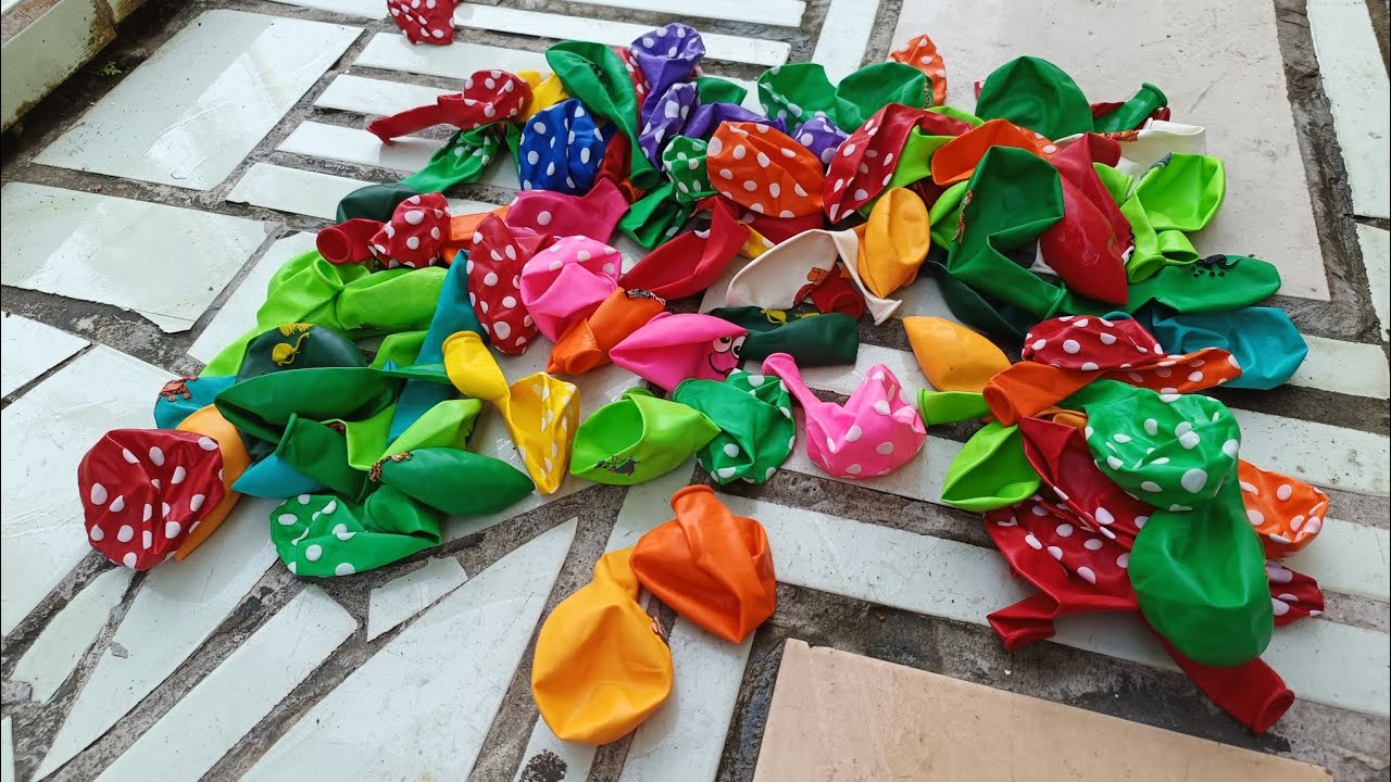Bermain pompa balon warna hijau, jingga, toska, biru lalu melempar ...