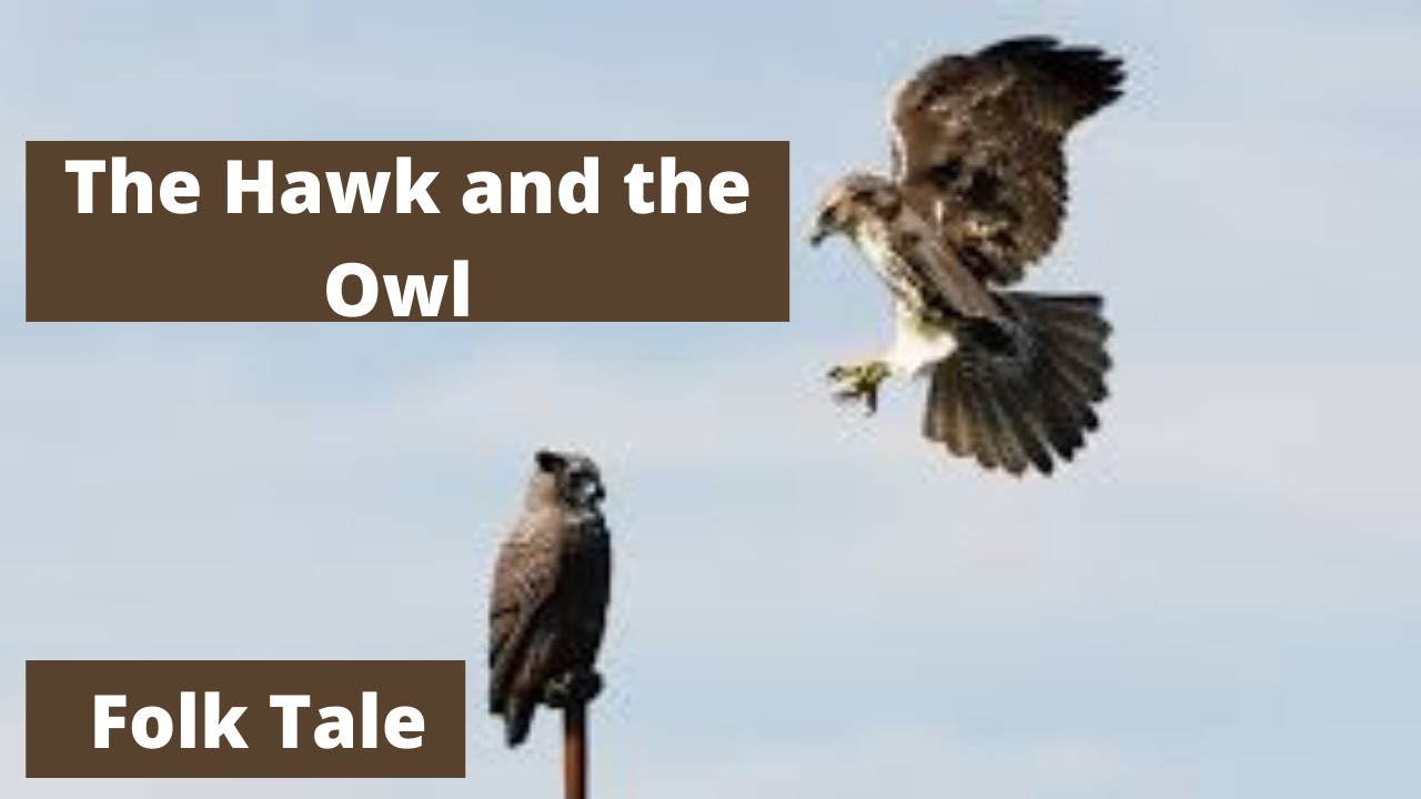 The Hawk and the Owl-Nigerian folk tale-English I Folk tales in English ...