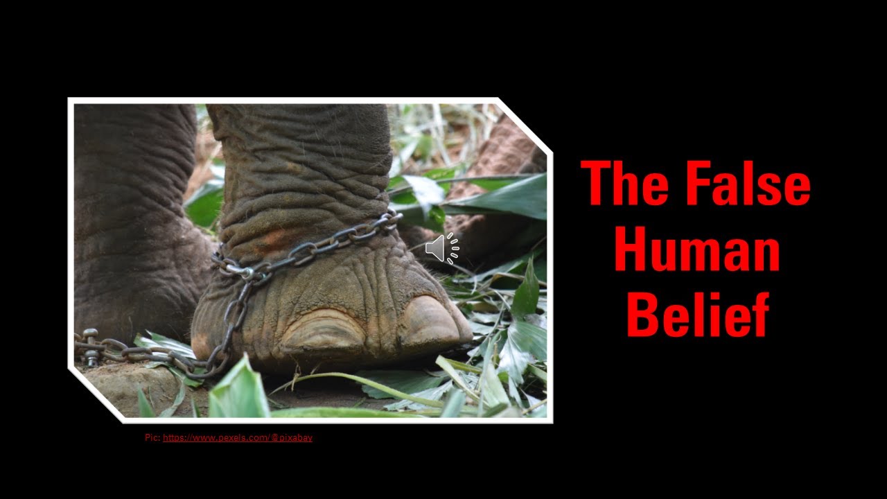 Short Story || The False Human Belief - YouTube