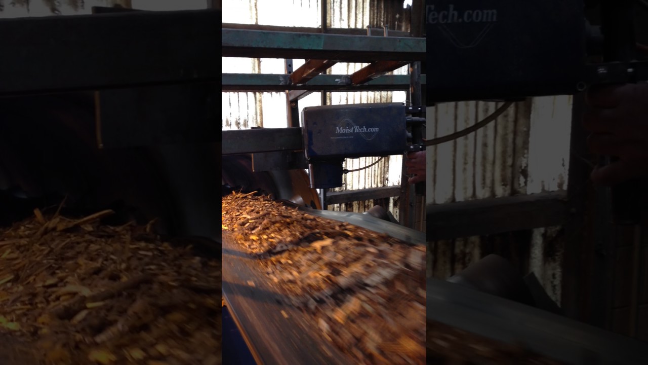 How to Control Moisture in Hog Fuel - YouTube