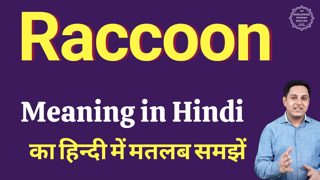 Raccoon Meaning In Hindi Raccoon Ka Matlab Kya Hota Hai YouTube raccoon-meaning-in-hindi-raccoon-ka-matlab-kya-hota-hai-youtube