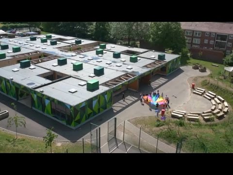 Lime Tree Primary Academy - YouTube