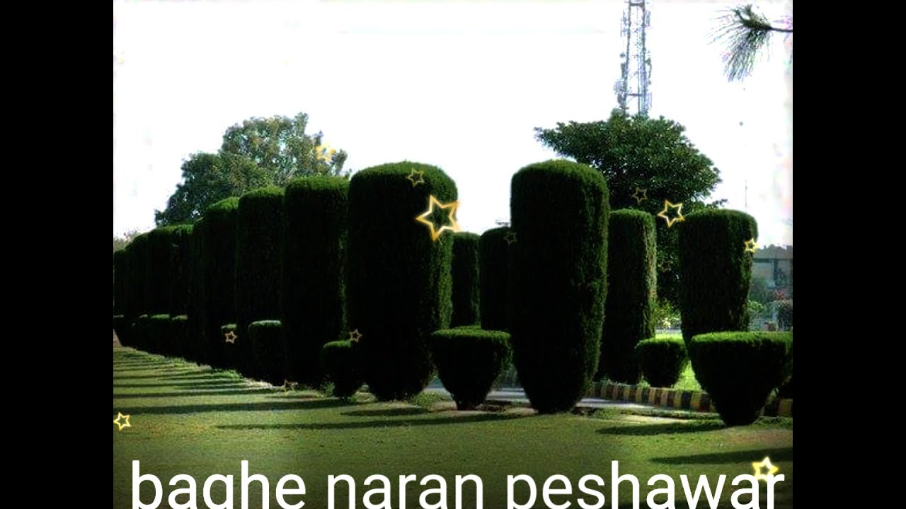 baghe naran peshawar | explore baaghi naran peshawar - YouTube