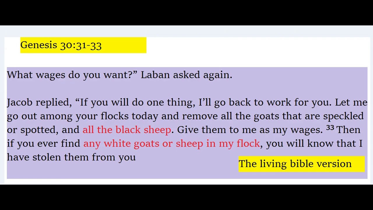 Genesis 30:31-33 | Jacob flocks vs Laban Flocks | Jacob's sheep | PART ...