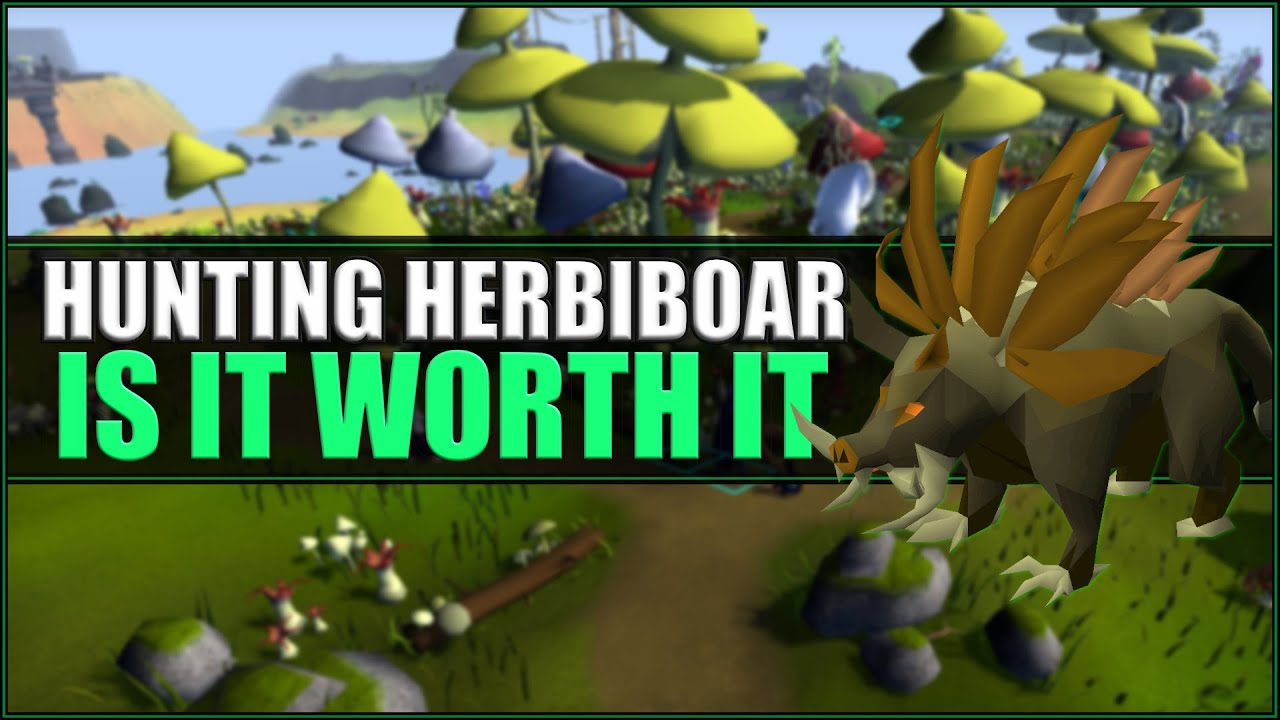 Loot From Hunting 1000 Herbiboars in OSRS - YouTube