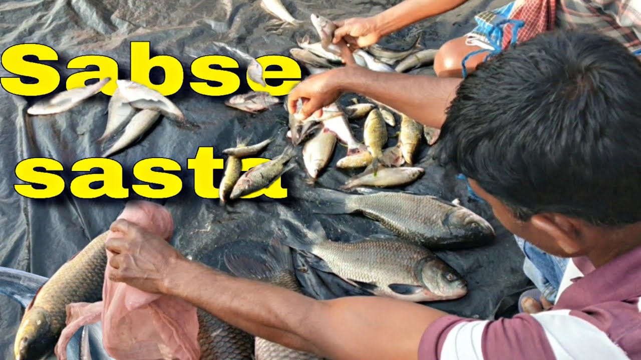 Low price katla machli || Friday fish market || big big fish 🐠 - YouTube