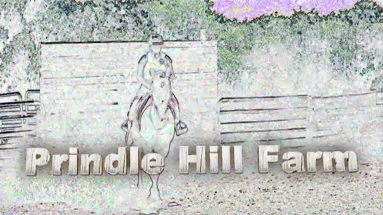 Prindle Hill Farm - YouTube