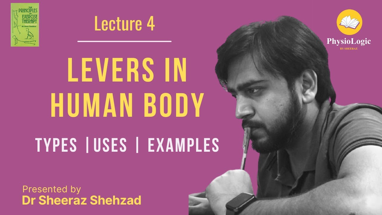 Levers in Human Body | Types of Levers | Mechanical Advantage ...