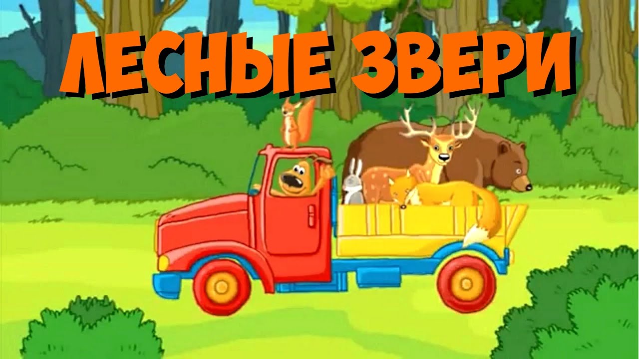 🐿 Лесные звери! Мультфильм для маленьких - YouTube