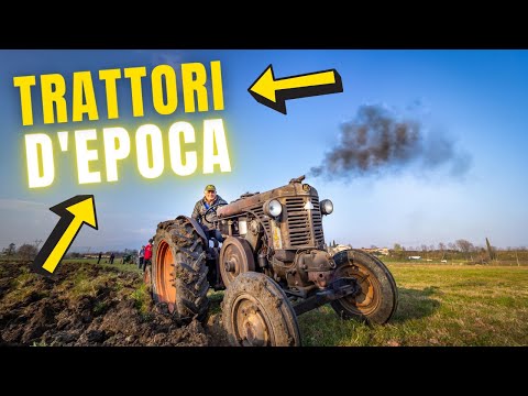 TRATTORI D'EPOCA in ARATURA