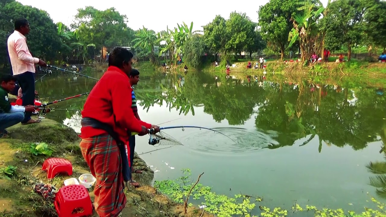 Village Fish Hunting Videos By Fishing Rod & Hooks - YouTube