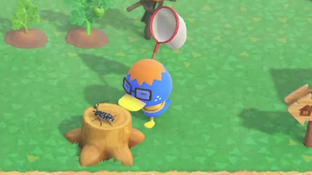 Derwin tries to catch a bug... - Animal Crossing: New Horizons - YouTube