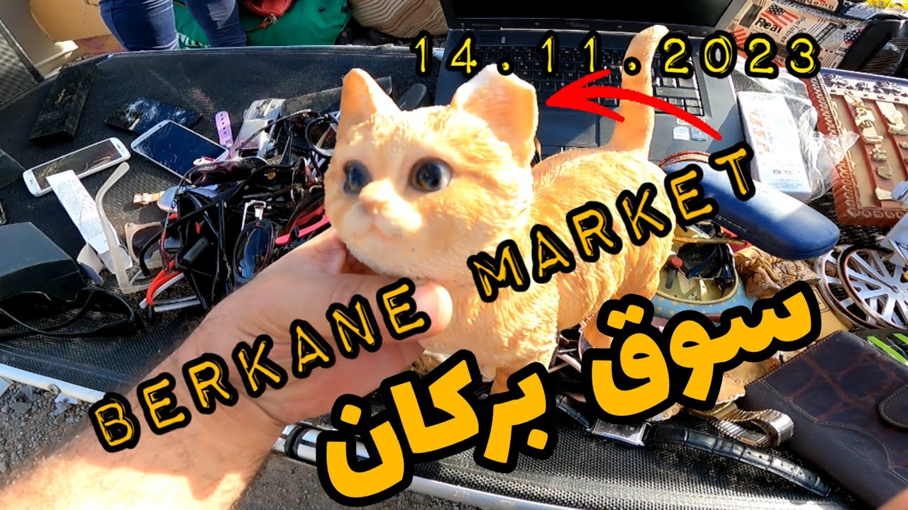 Weekly market in Berkane | 14.11.2023 | شاهد ماذا يباع بالسوق الأسبوعي ...