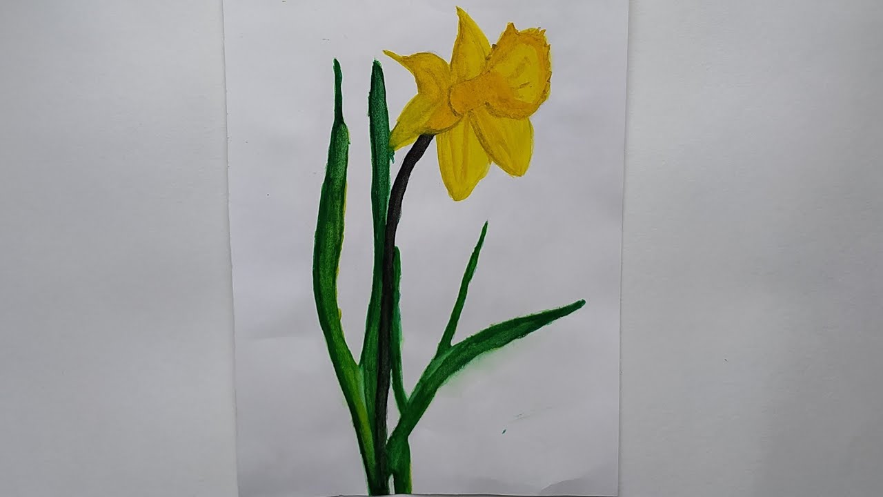 Rəsm - Suluboya ilə Nərgiz Gülü Necə Çəkilir - How to Draw Watercolor ...