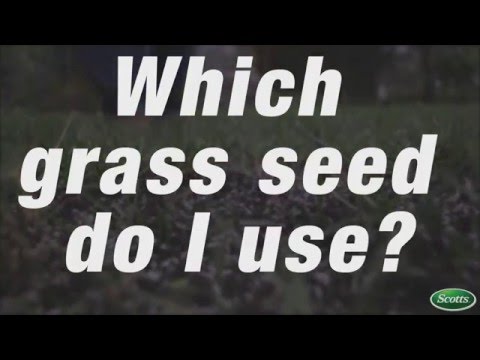 Selecting the right grass seed for your lawn | Scotts