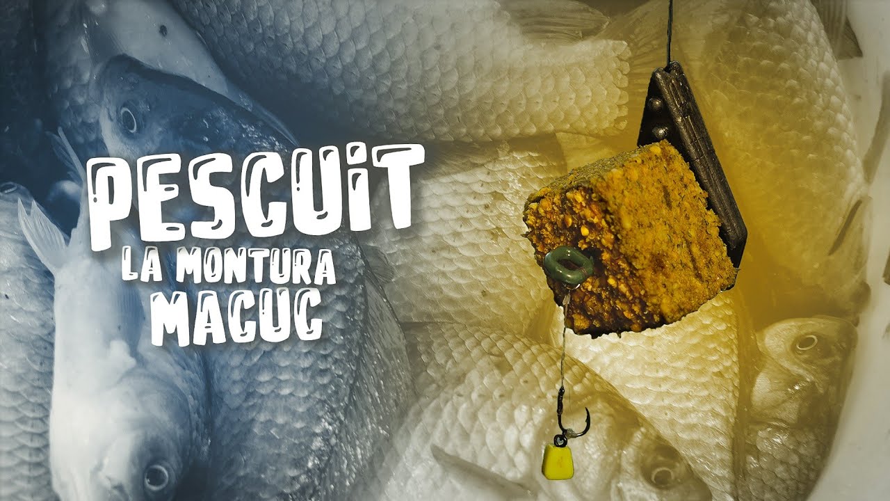 PESCUIT LA CUBULET DE MACUC (МАКУШАТНИК)/ O PARTIDA REUSITA LA SFIRSIT ...