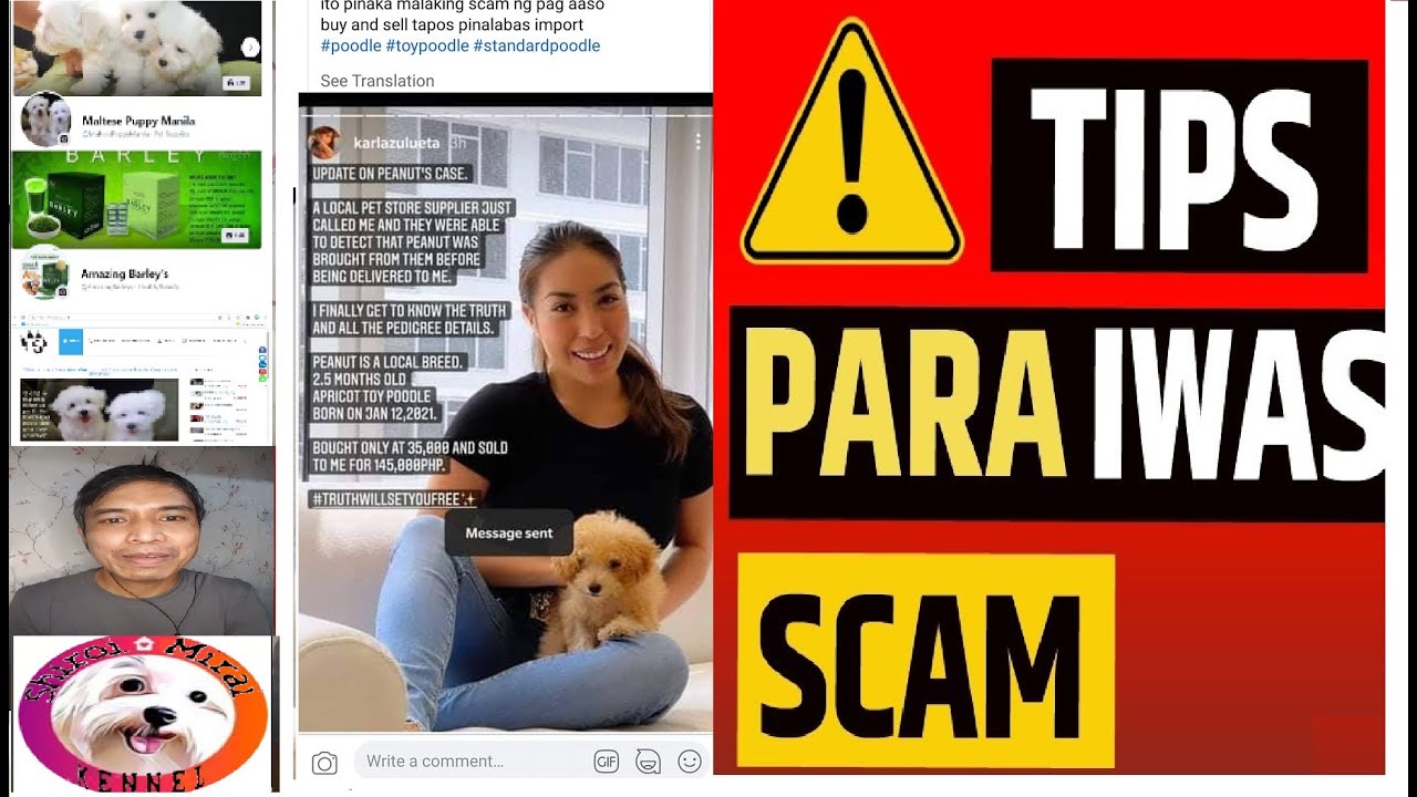 Scam NO MORE.. Tips and Idea para iwas Scammer on Buying Puppies - YouTube