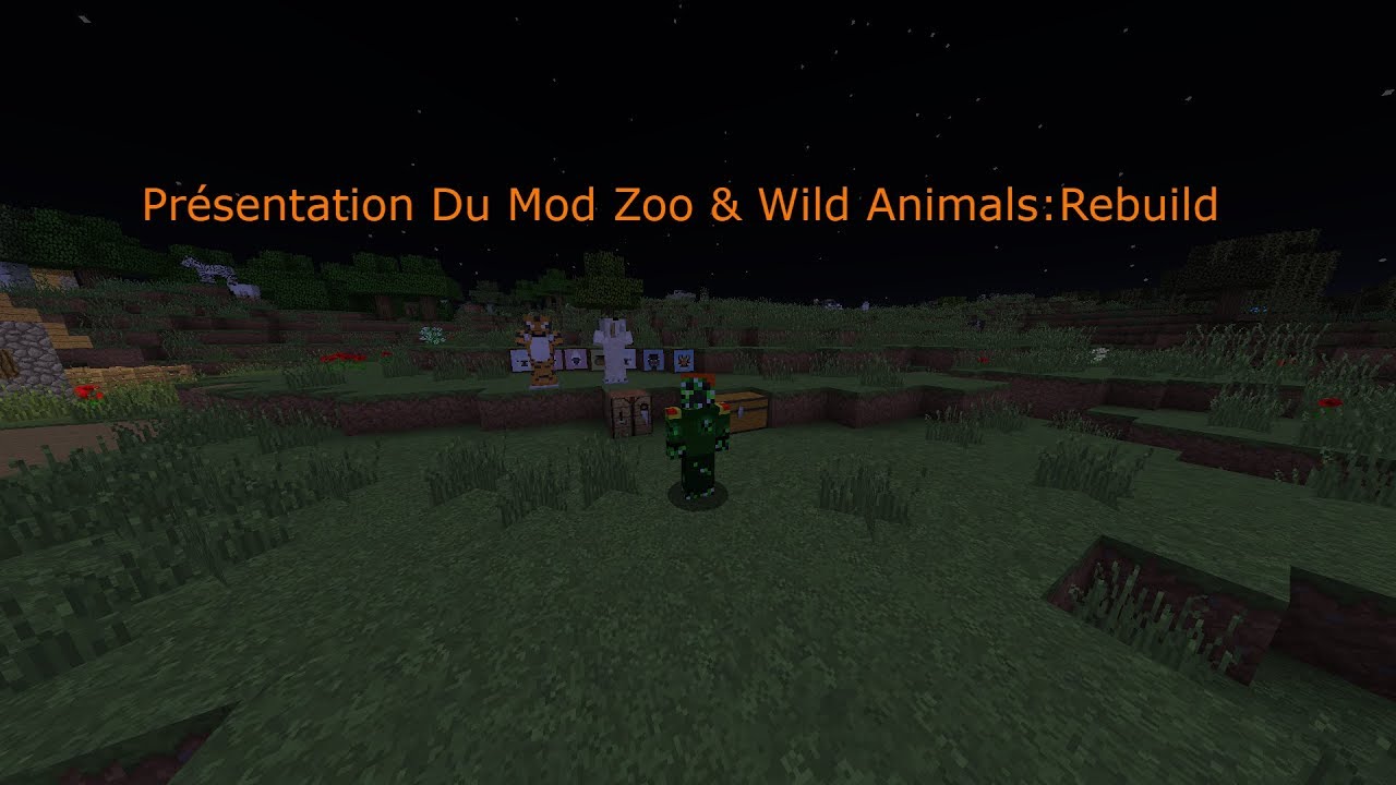 Présentation du MOD Zoo & Wild animals rebuilt -FR - YouTube