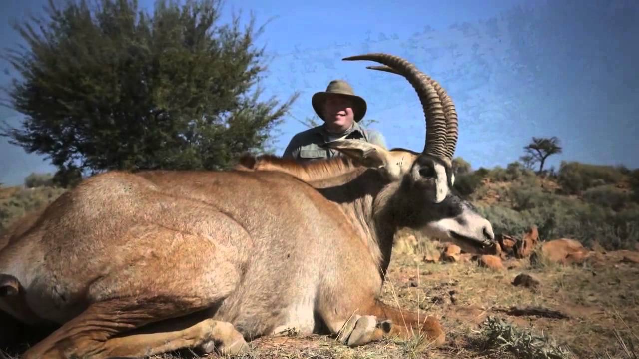 NAMIBIA - YouTube