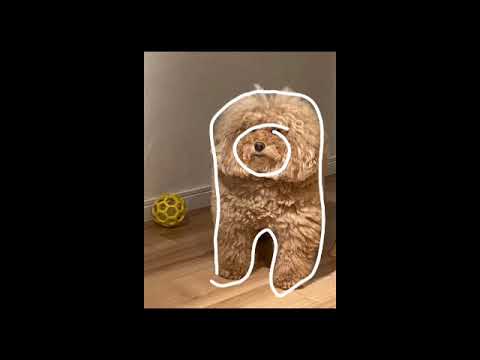what da amogus dog doing tho!??? 😳😳😳😳😳 | 10090874% real clip of amogus dog - YouTube