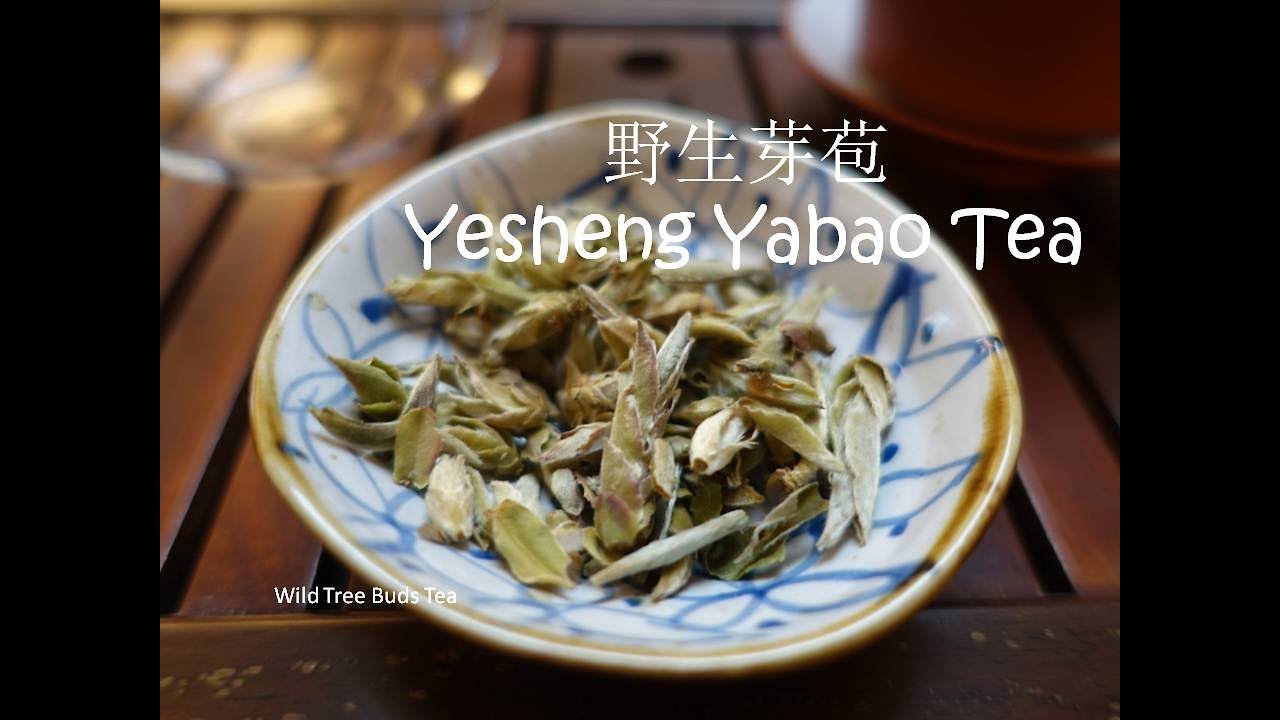 Yesheng Yabao Tea 野生芽苞 - Wild Tree Buds Tea - YouTube