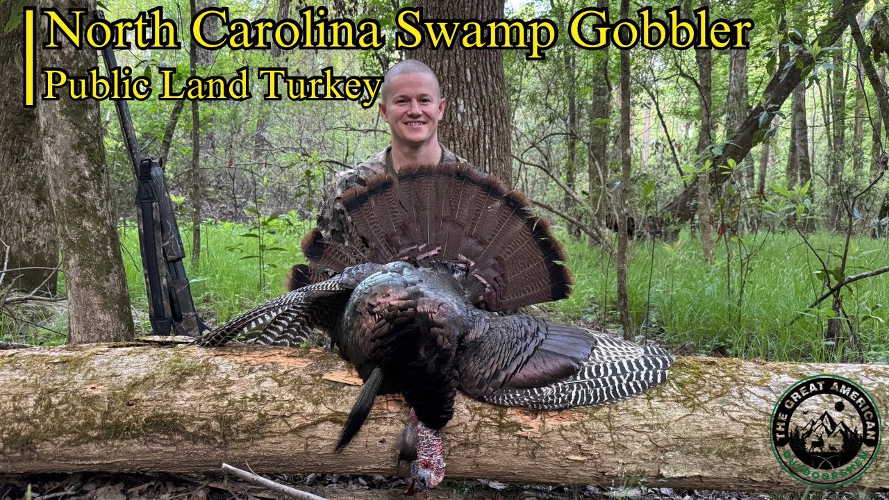 North Carolina Swamp Gobbler | Turkey Hunting Public Land - YouTube