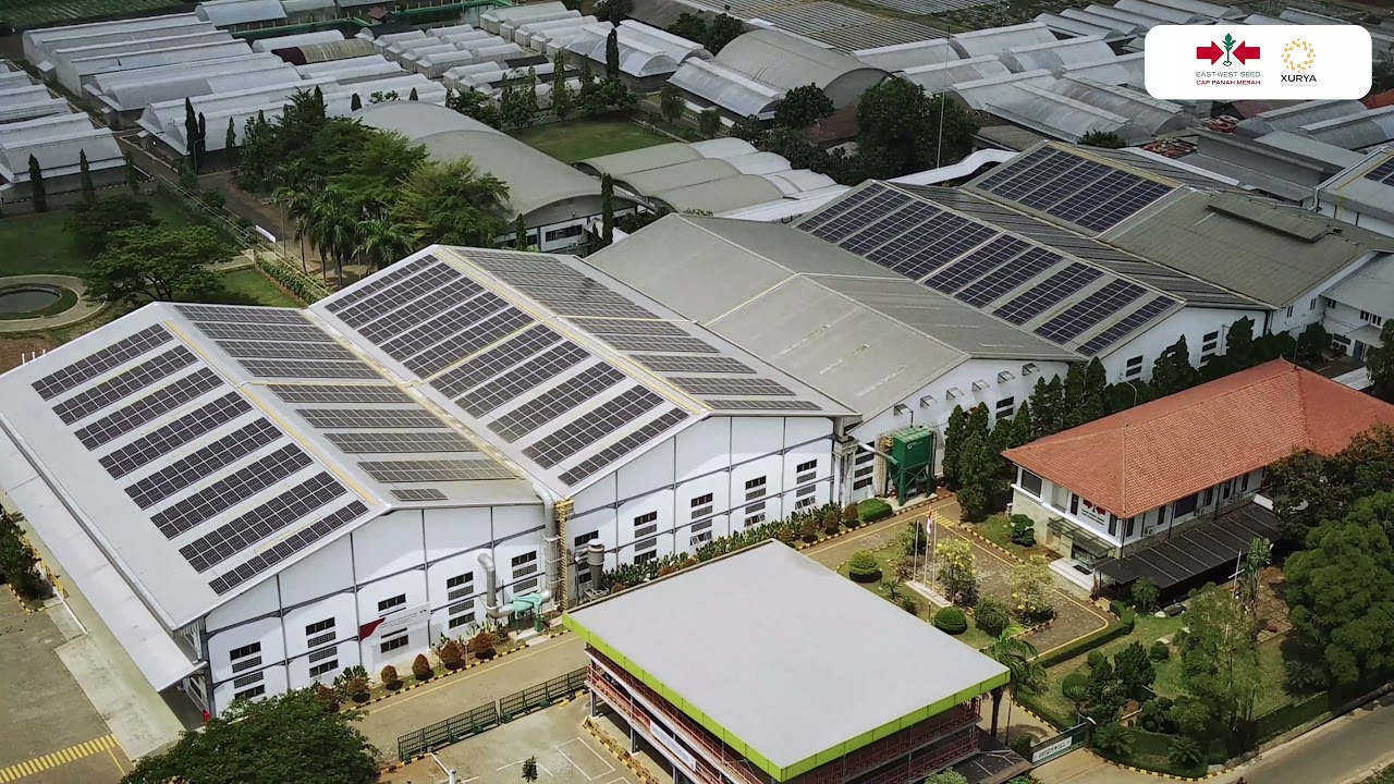 East West Seed Indonesia, The First Vegetable Seed Company in Indonesia ...