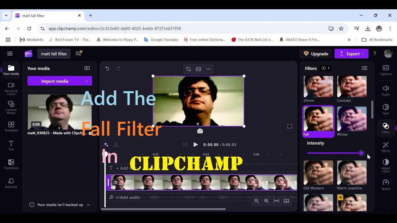 Add The Fall Filter In Clipchamp - YouTube