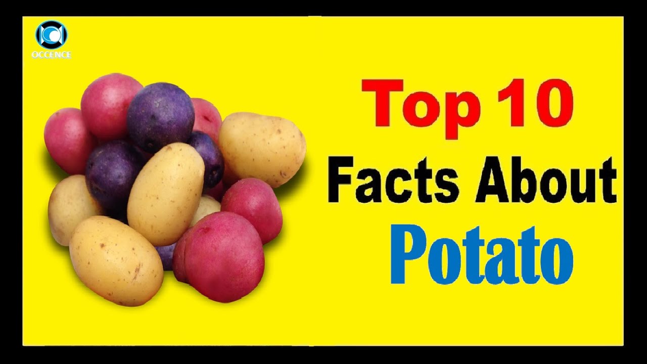 Potato - Facts - YouTube