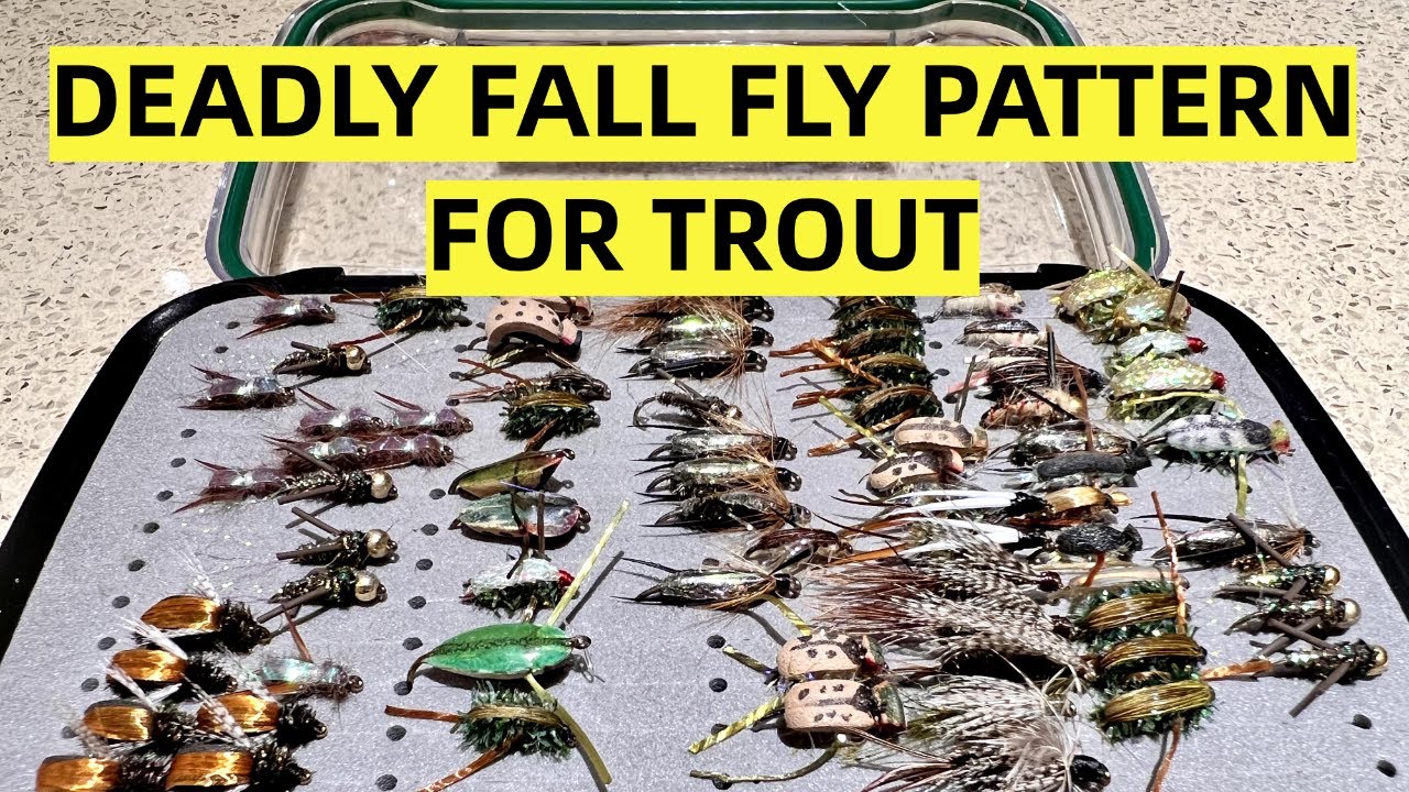 Boatmen & Backswimmer Patterns for Big Fall Trout - YouTube