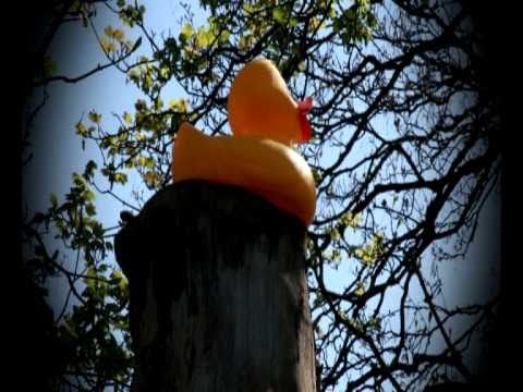 Rubber Dubber Duck Song - Stop Motion - YouTube