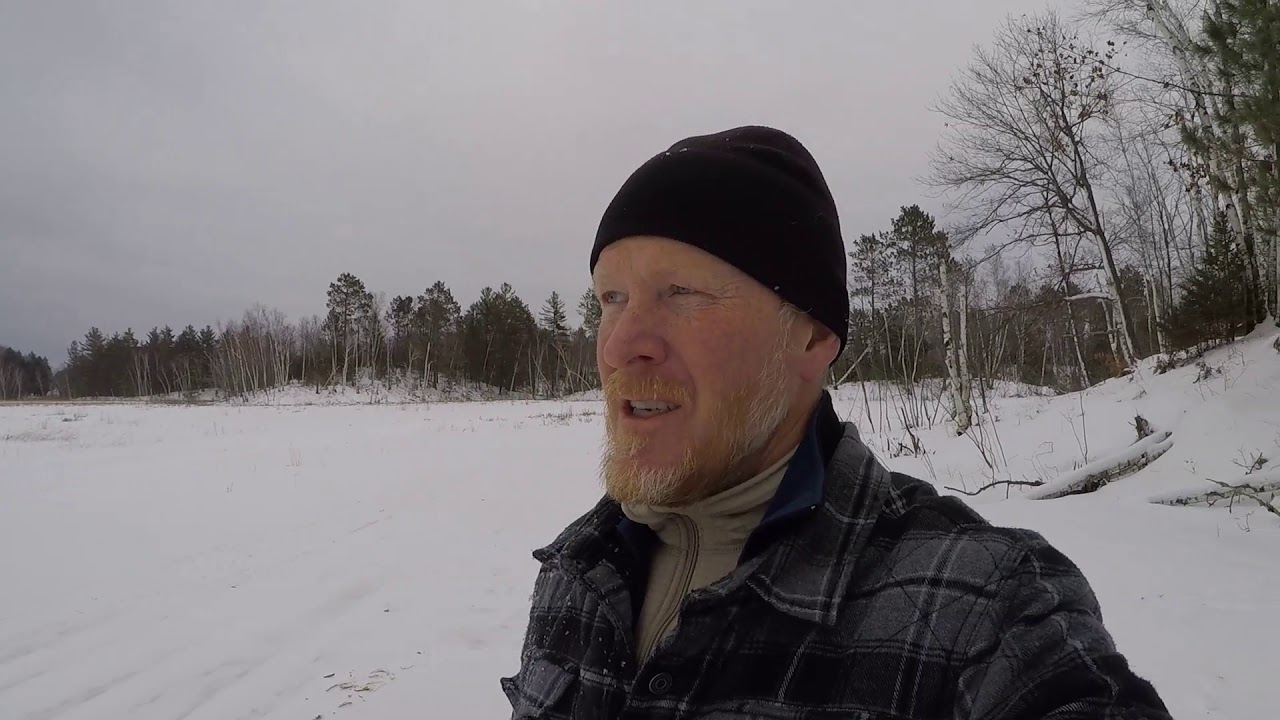 Beaver Snaring under the ice. 4 beaver caught. Underwater footage. Jan ...