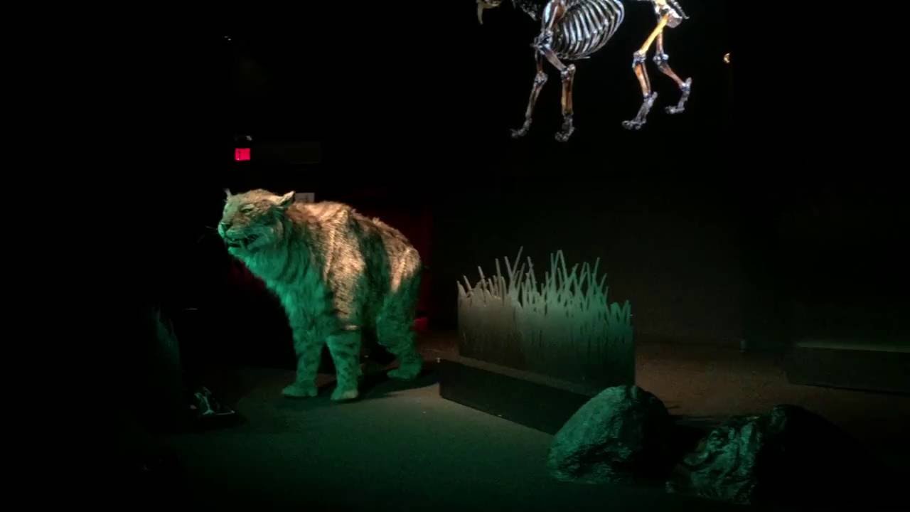 Ice Age Encounters -The La Brea Tar Pits and Museum - YouTube