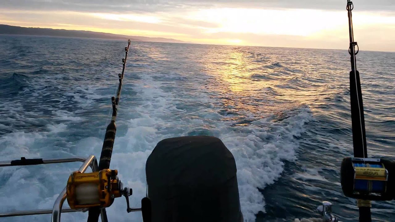 Trolling for Bluefin Tuna Apollo Bay Victoria - YouTube