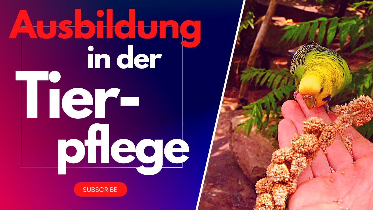 Tierpfleger | Tierisch viel Spaß beim online Probearbeiten im Tierpark ...