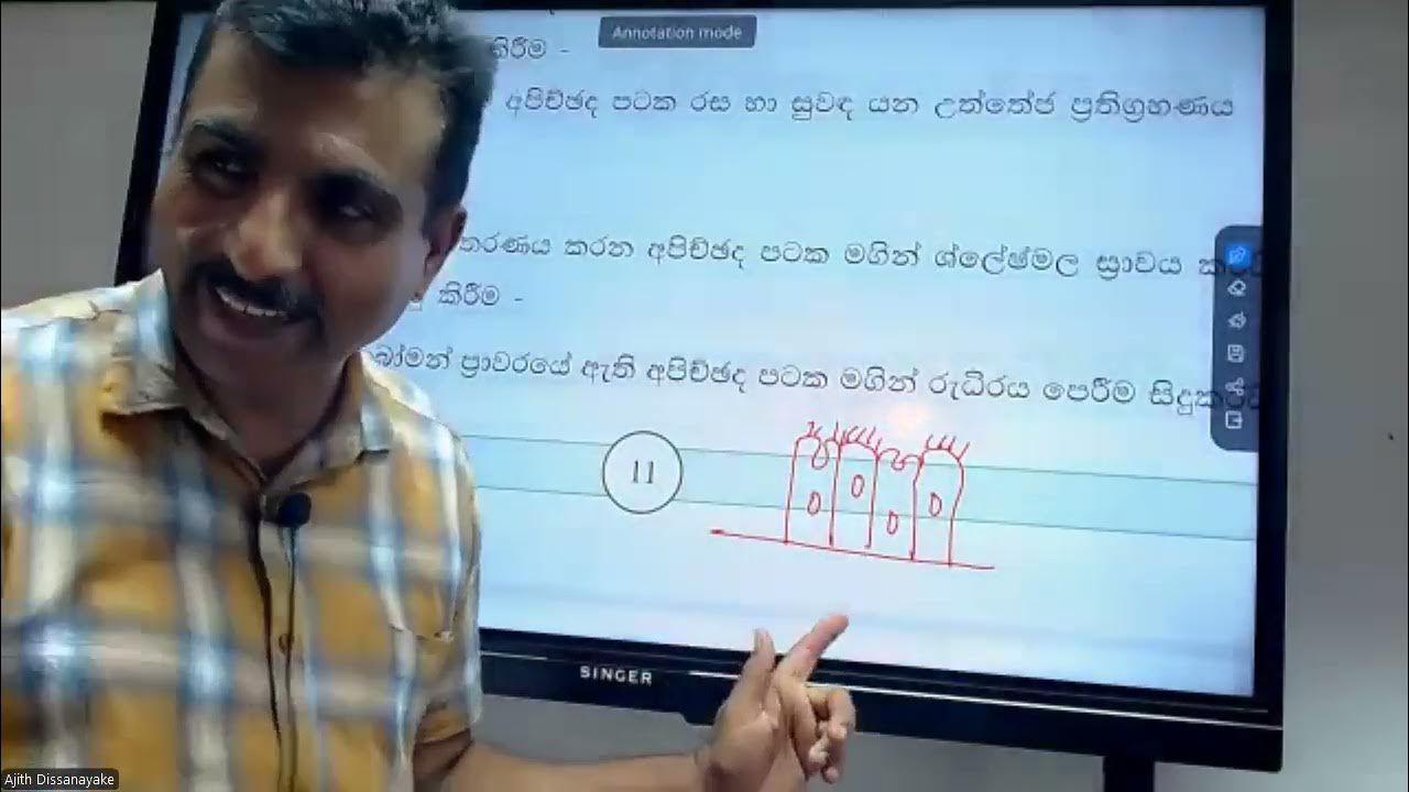 පටක 03 | Grade 11 | Lesson 01 - YouTube